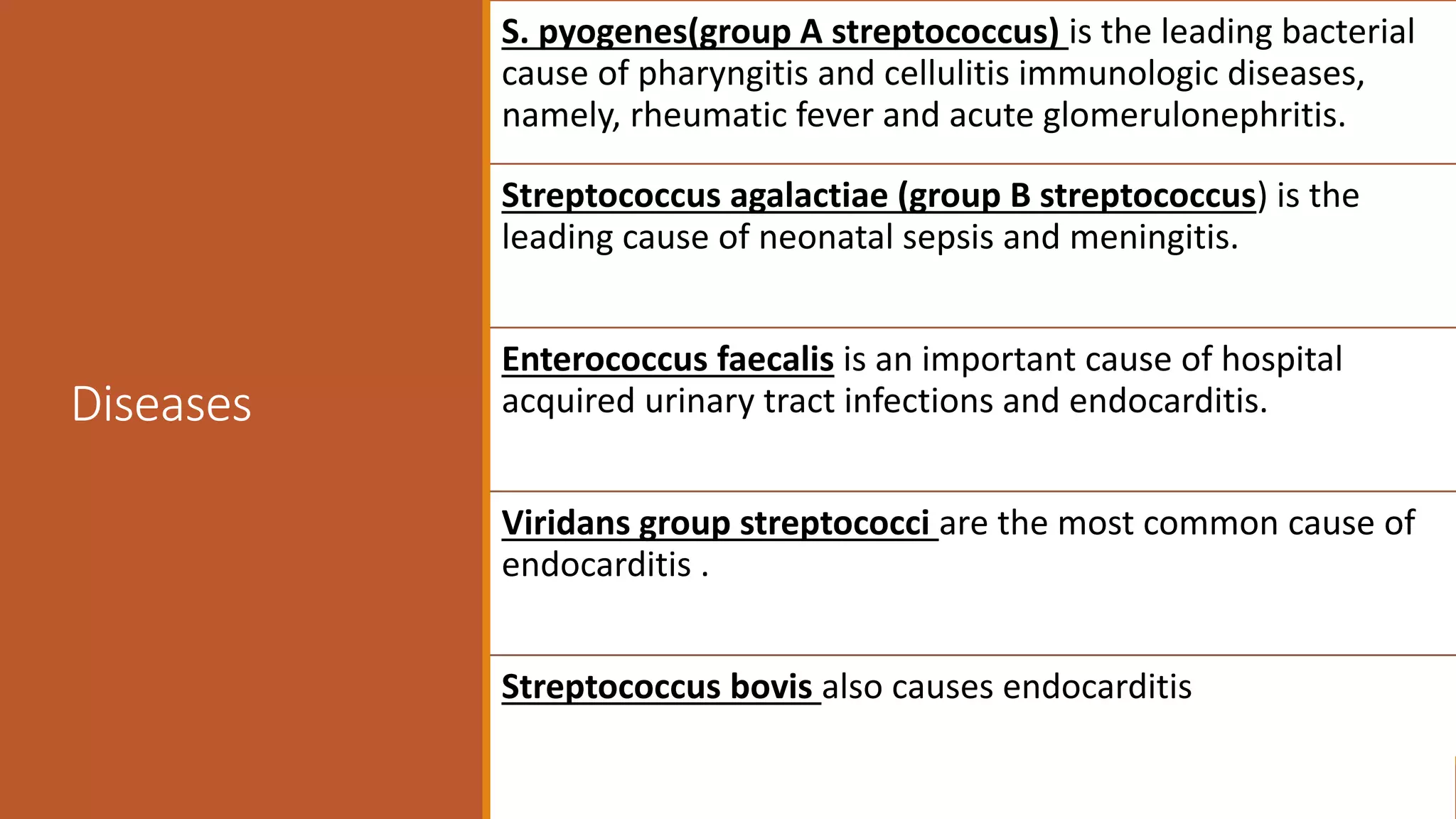 5 Gram + cocci STREPTOCOCCUS.pptx