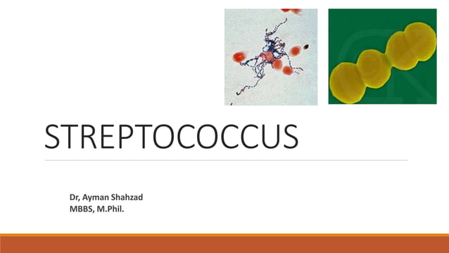 5 Gram + cocci STREPTOCOCCUS.pptx