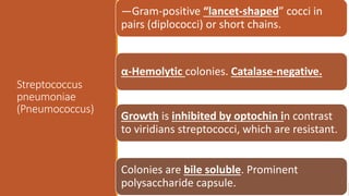 5 Gram + cocci STREPTOCOCCUS.pptx