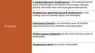 5 Gram + cocci STREPTOCOCCUS.pptx