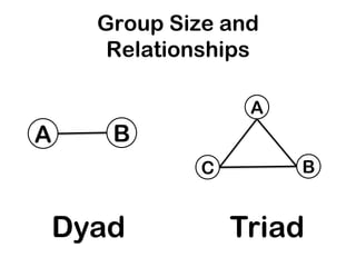 Groups and Organization | PDF