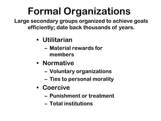 Groups and Organization | PDF