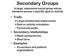 Groups and Organization | PDF