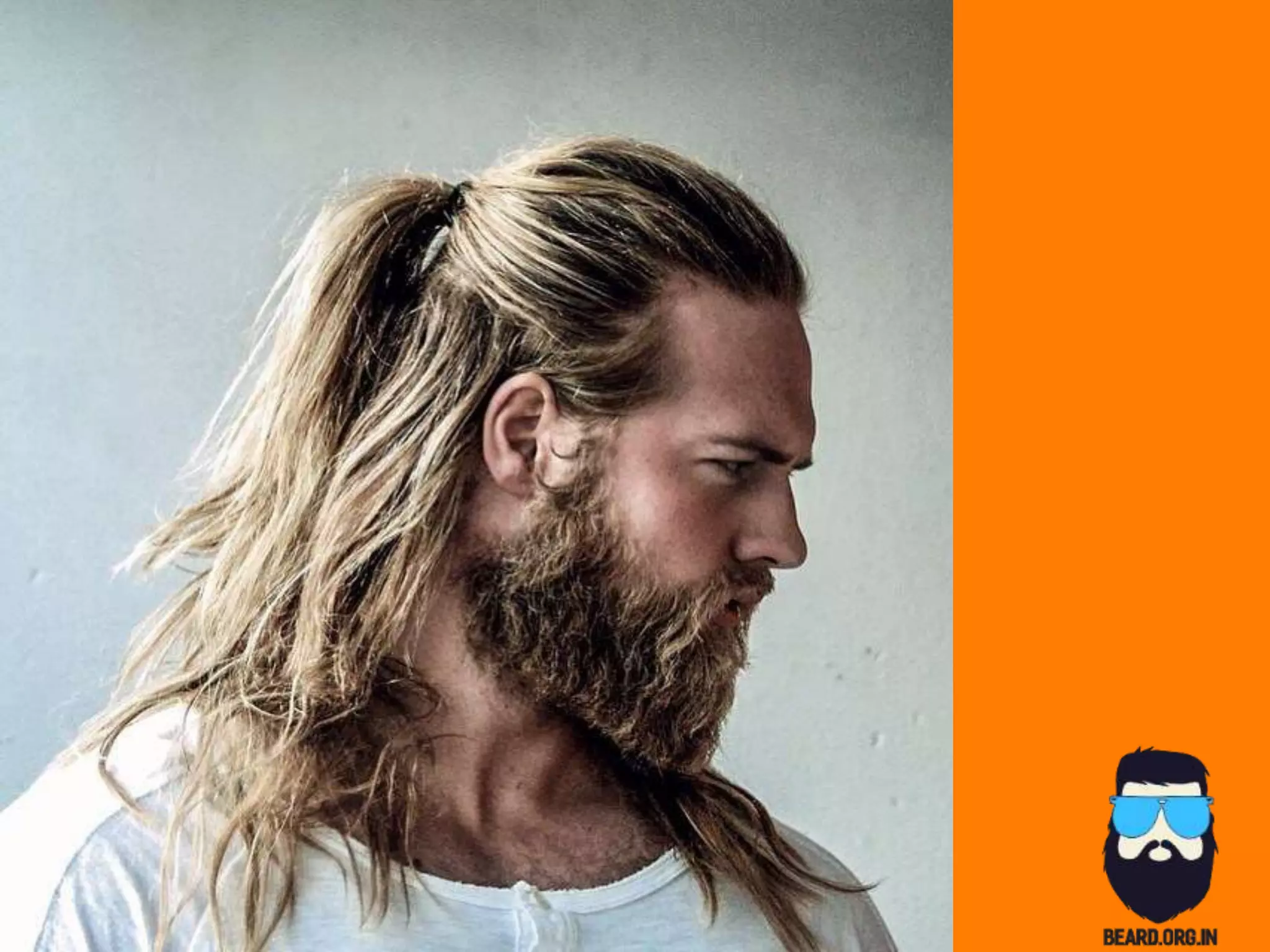 Hairstyles For The Aggressive Beard Styles | PPTX