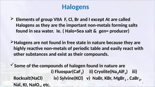 5 Halogens and HX.pptxlaaaaaaaaaaaaaaaaaaaaaaaaaaaaaaa | PPTX