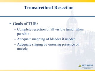 W. Hassen - Bladder cancer - Guidelines | PPT