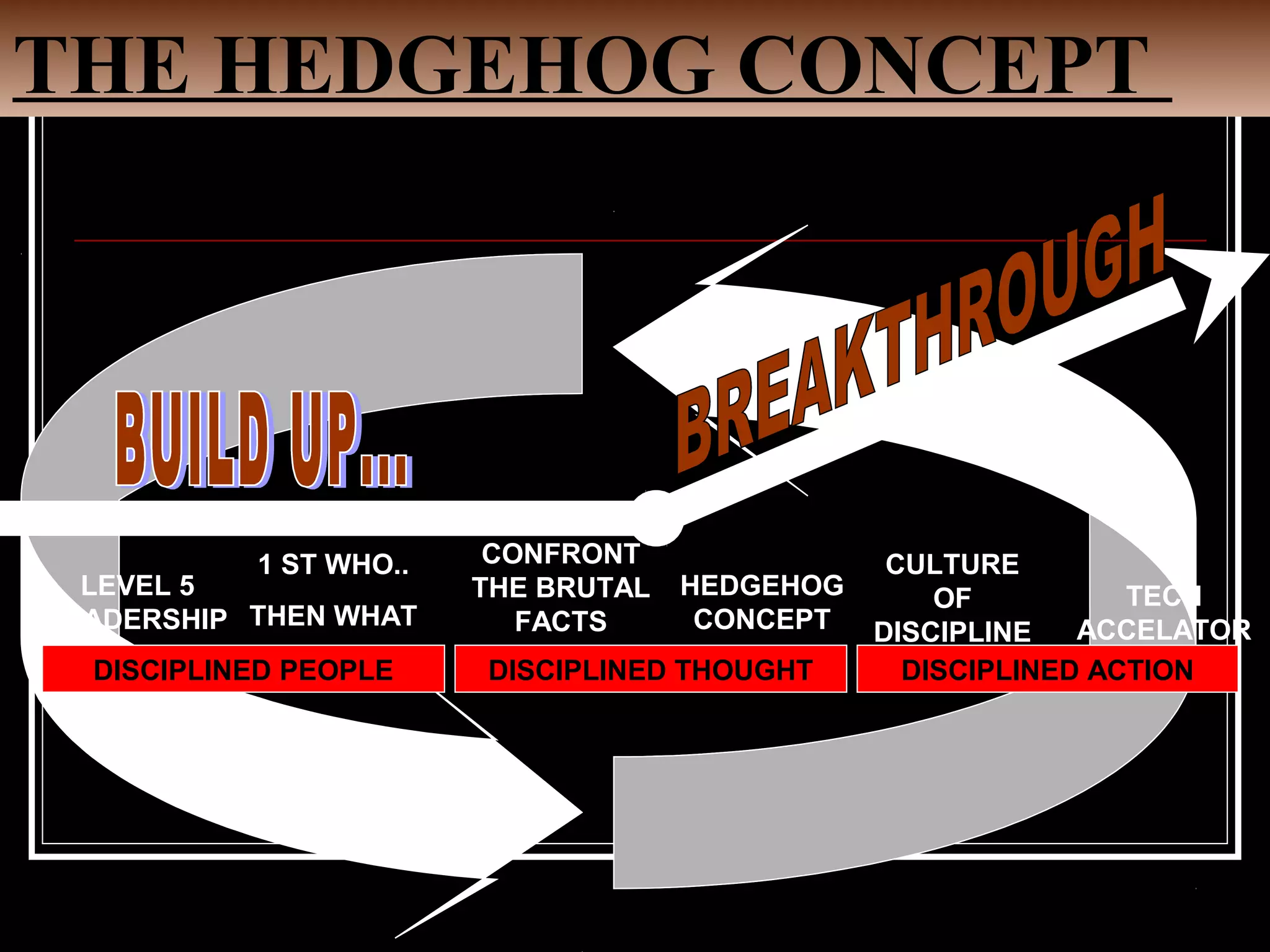 5 hedgehog concept | PPT