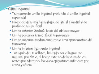 HERNIAS DE LA PARED ABDOMINAL .pptx.ppt