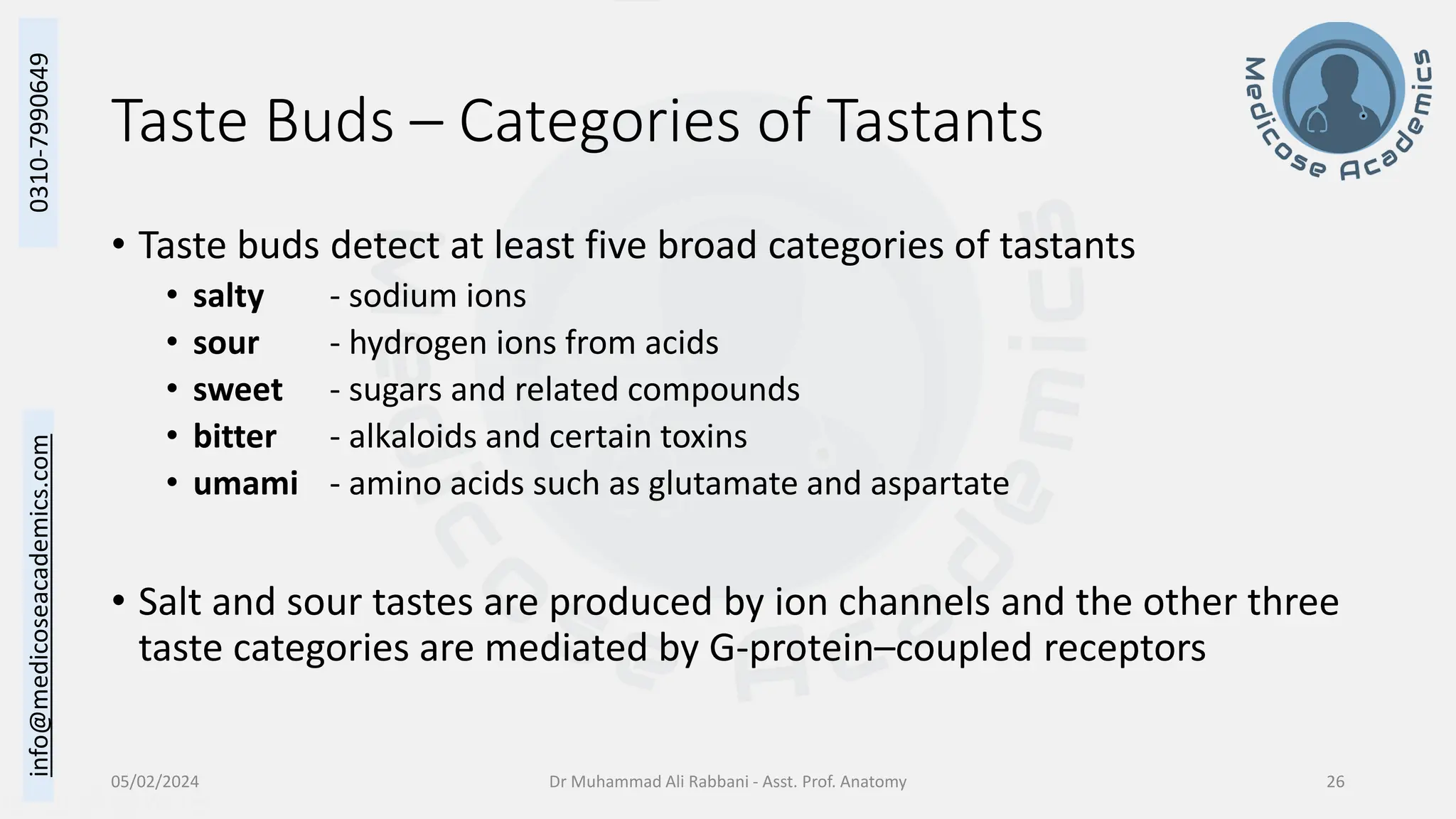 Histology of Lip and Tongue - Medicose Academics | PDF