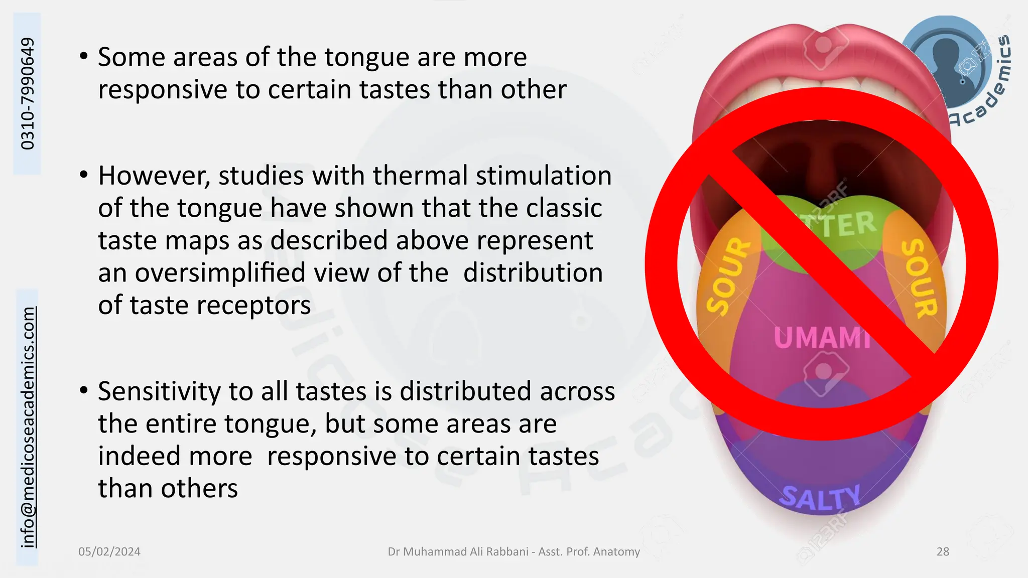 Histology of Lip and Tongue - Medicose Academics | PDF