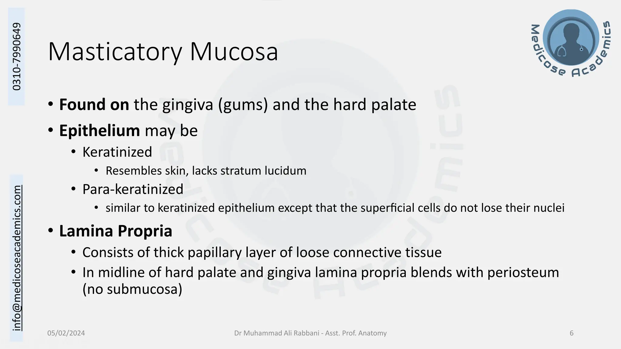 Histology of Lip and Tongue - Medicose Academics | PDF