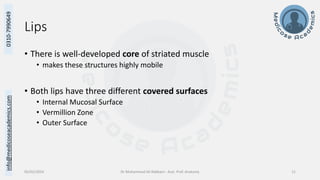 Histology of Lip and Tongue - Medicose Academics | PDF