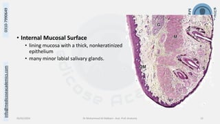 Histology of Lip and Tongue - Medicose Academics | PDF