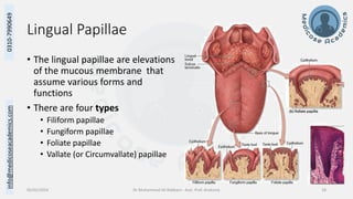 Histology of Lip and Tongue - Medicose Academics | PDF