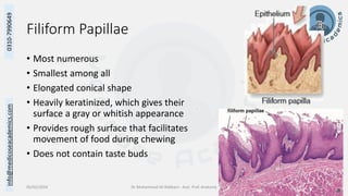 Histology of Lip and Tongue - Medicose Academics | PDF
