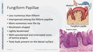 Histology of Lip and Tongue - Medicose Academics | PDF