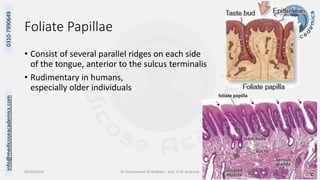 Histology of Lip and Tongue - Medicose Academics | PDF