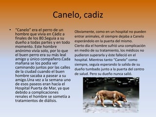 5 historias de perros fieles | PPTX