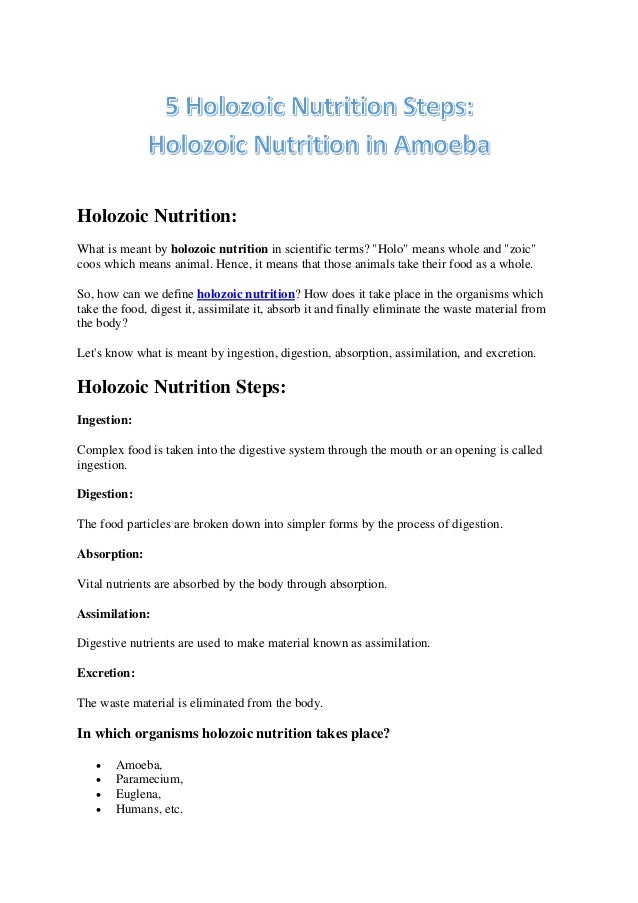 5 Holozoic Nutrition Steps: Holozoic Nutrition in Amoeba | PDF