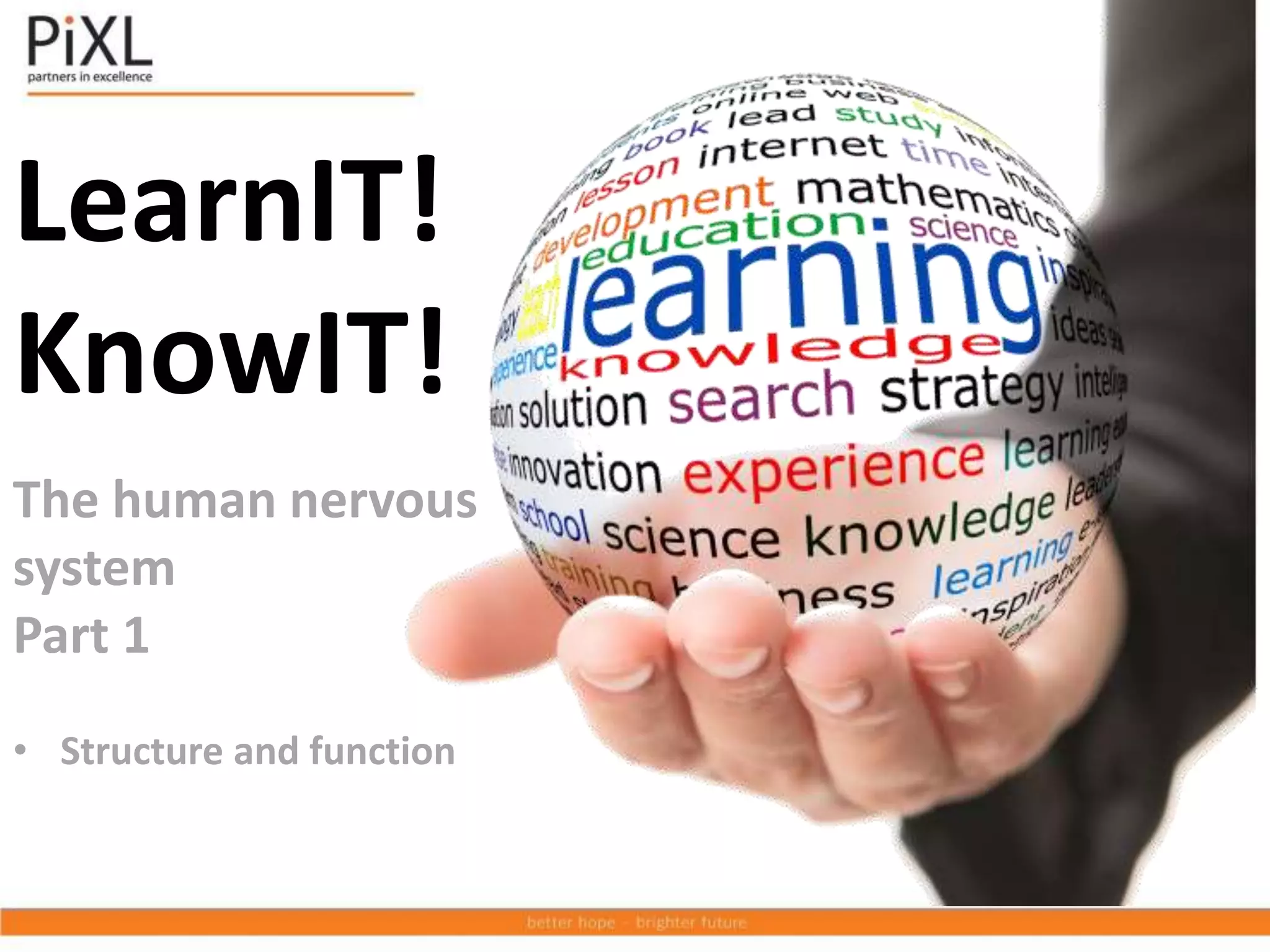 5 Homeostasis resp KnowIT nervous-system.pptx