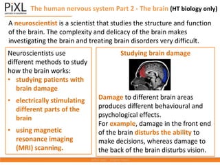 5 Homeostasis resp KnowIT nervous-system.pptx