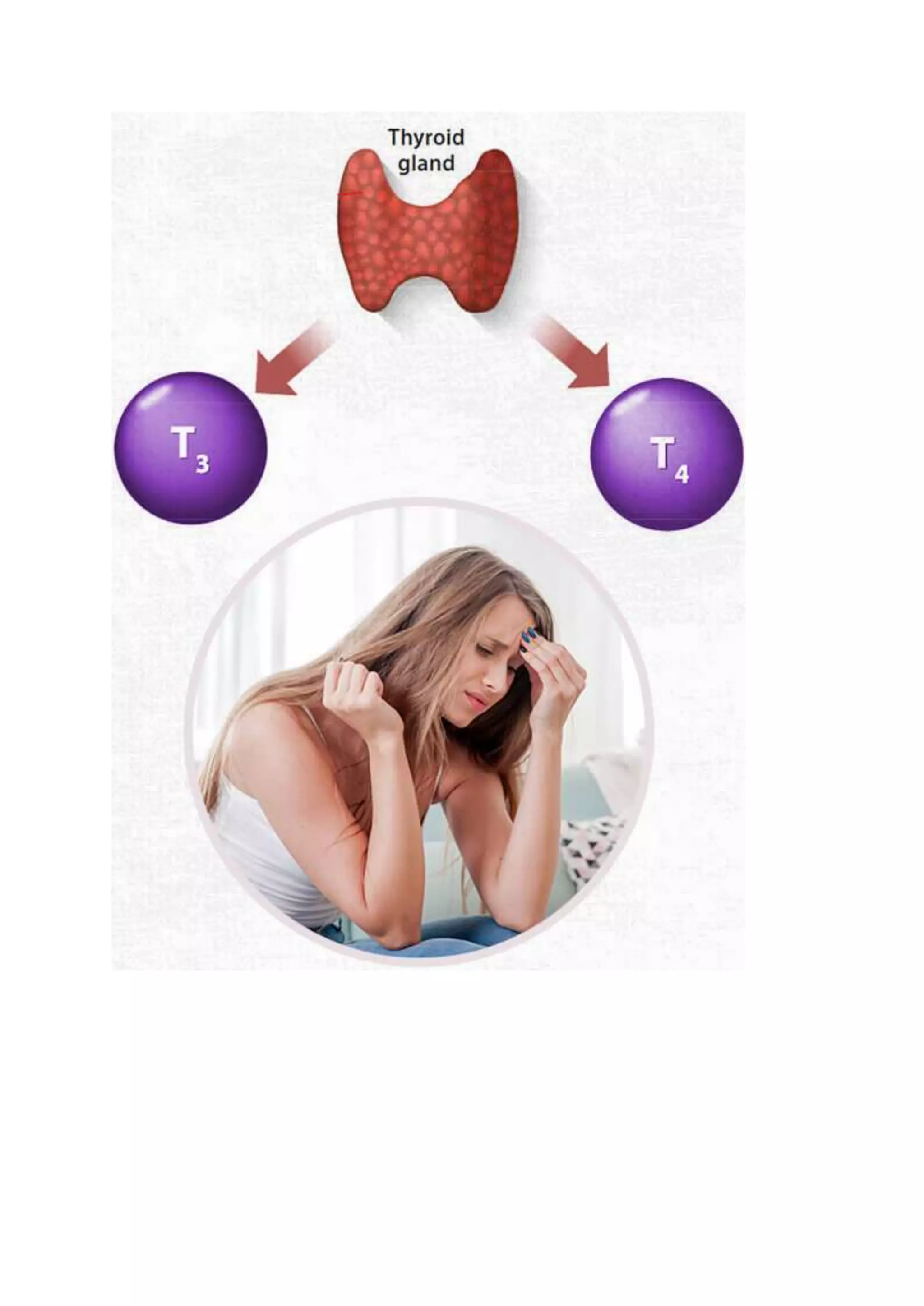 5 hormonal fixes that loss your belly fat | PDF