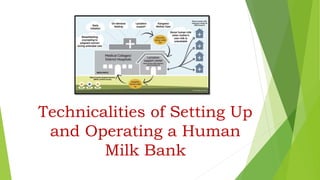 Human Milk Banking | PPTX