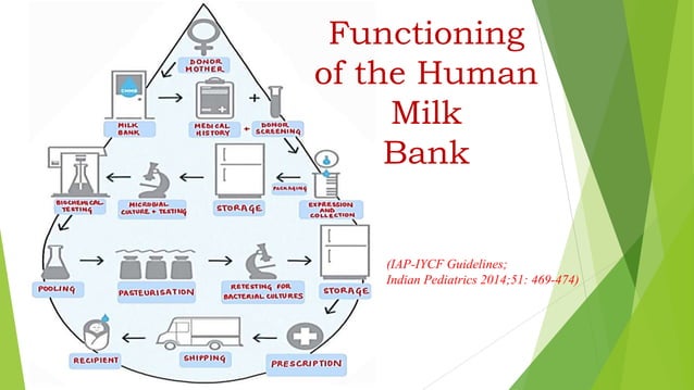 Human Milk Banking | PPTX