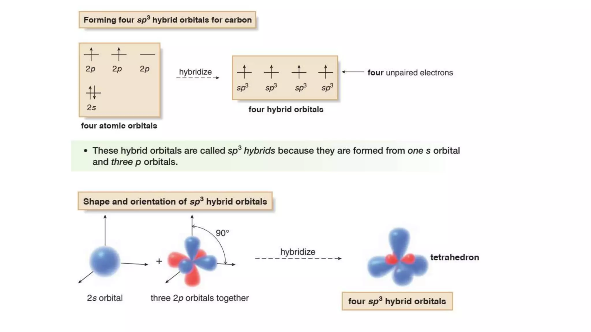 Hybridization Principles of Organic compounds | PPTX