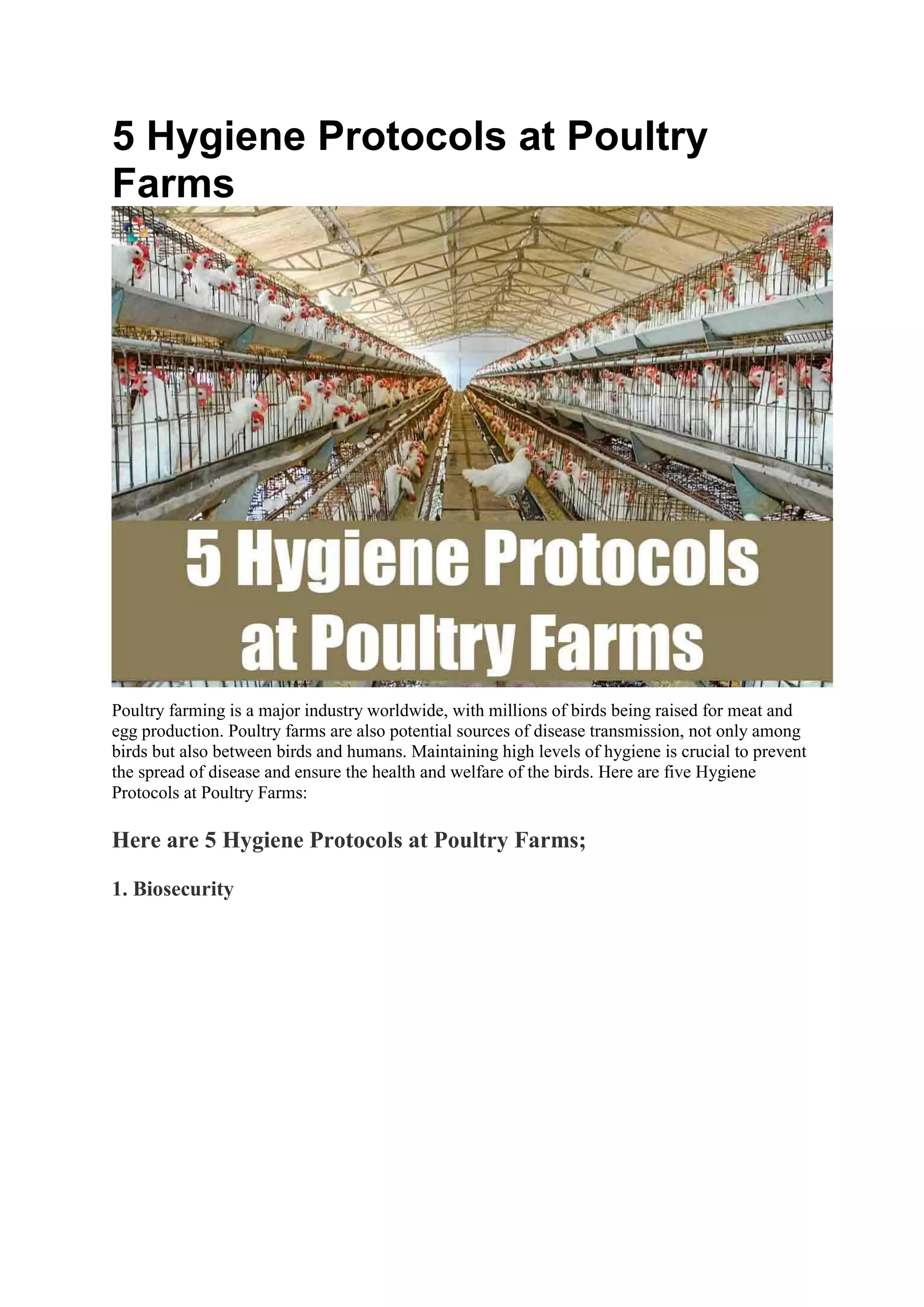 5 Great Hygiene Protocols at Poultry Farms | The Lifesciences Magazine ...