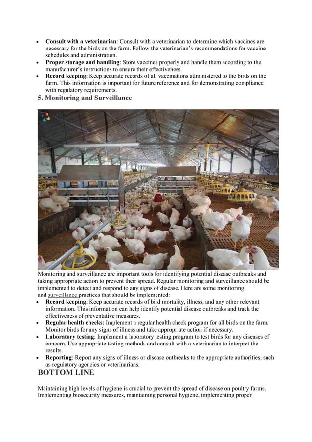 5 Great Hygiene Protocols at Poultry Farms | The Lifesciences Magazine ...