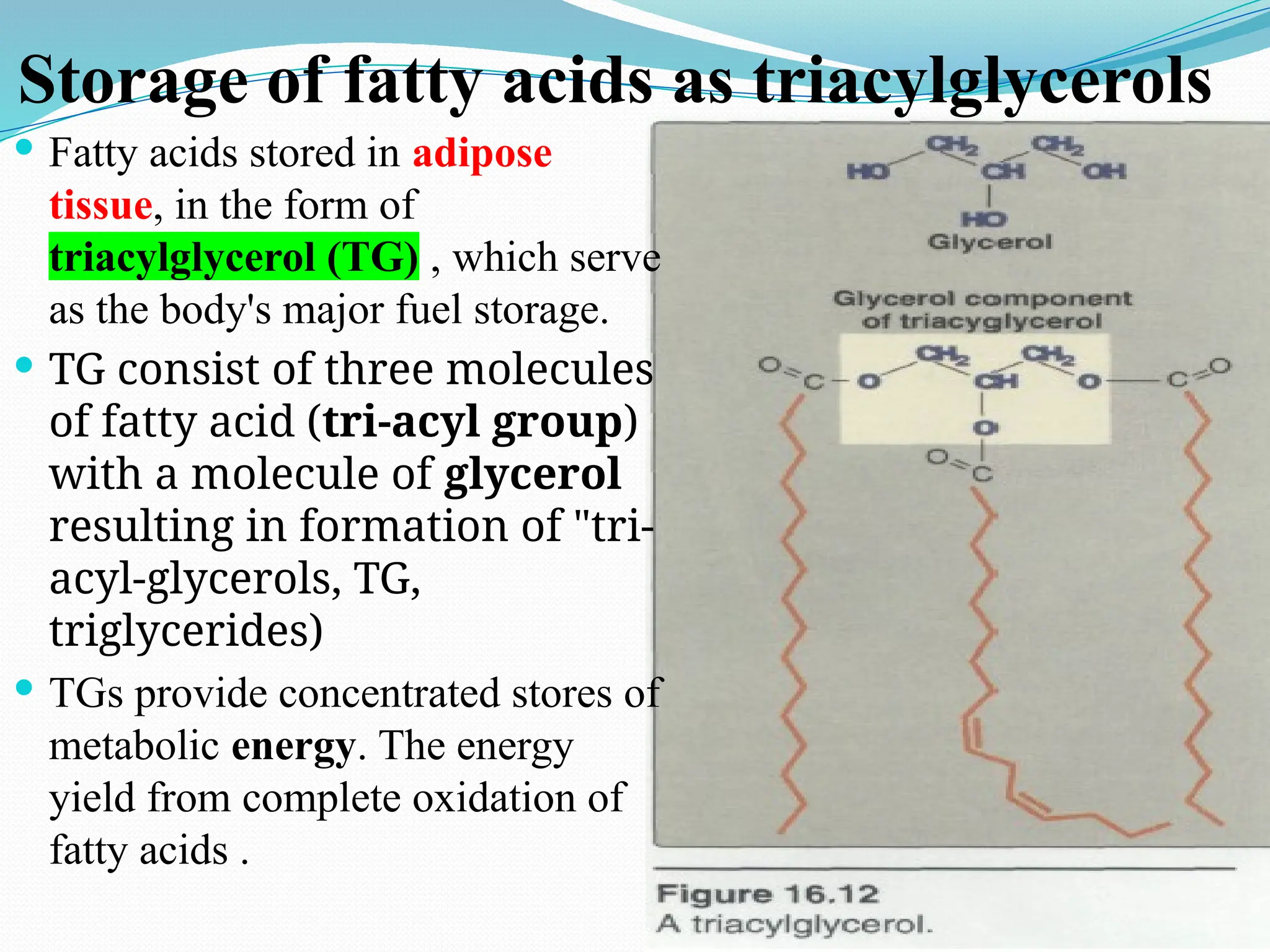 5 hypertrilyceridemia.pptx for pharmaceuticals | PPTX