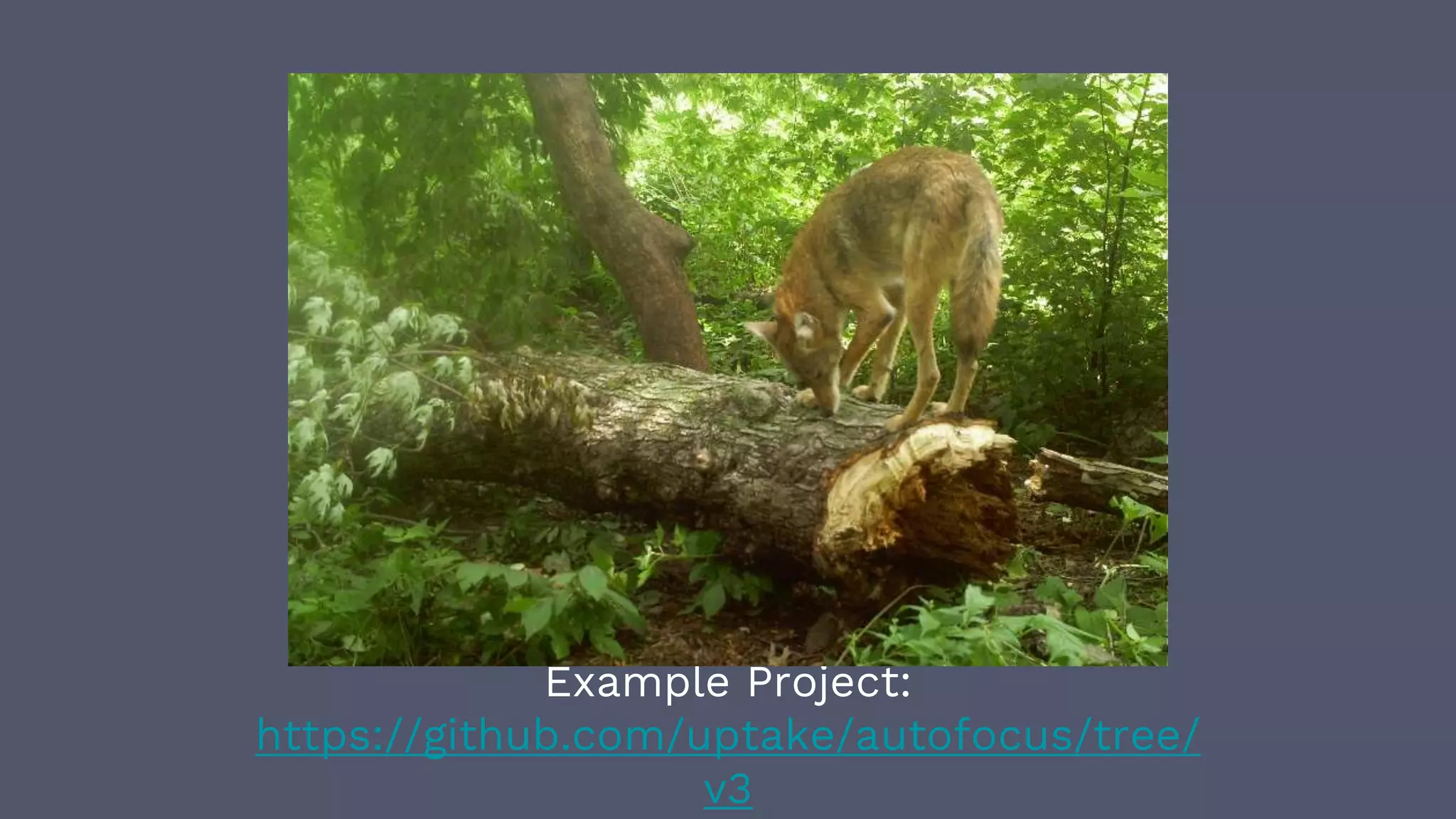 Fast and Reproducible Deep Learning | PPTX | Programming Languages ...