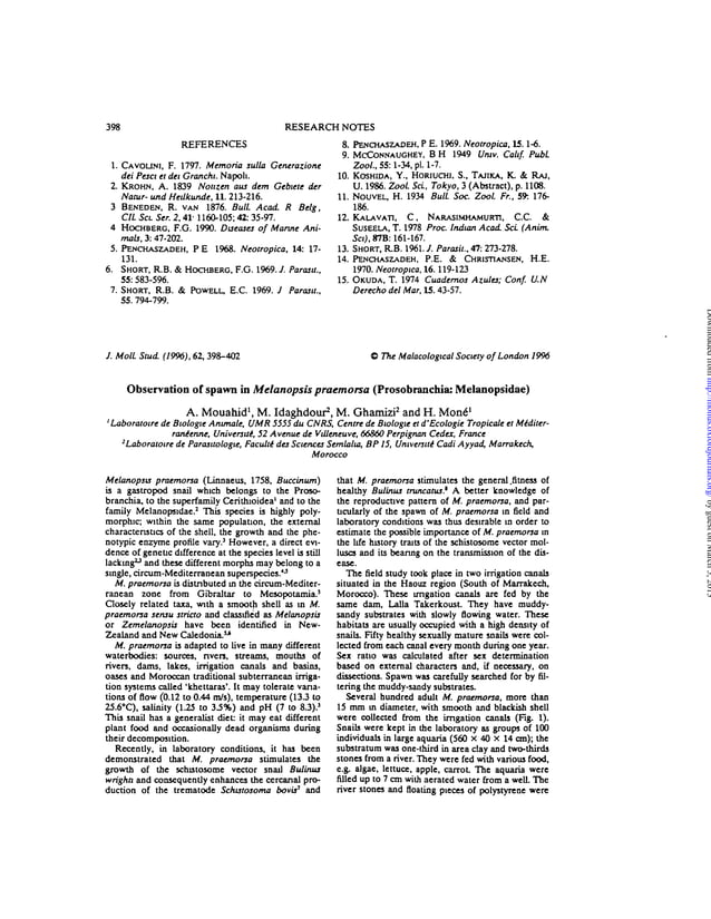First discovery of dicyemida (mesozoa) in caribbean cephalopods | PDF ...