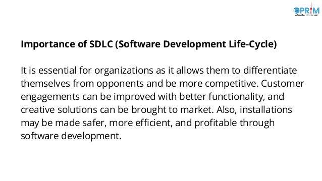 5 importance of software development for your business | PDF