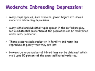 Inbreeding & Inbreeding depression in Plants | PPTX