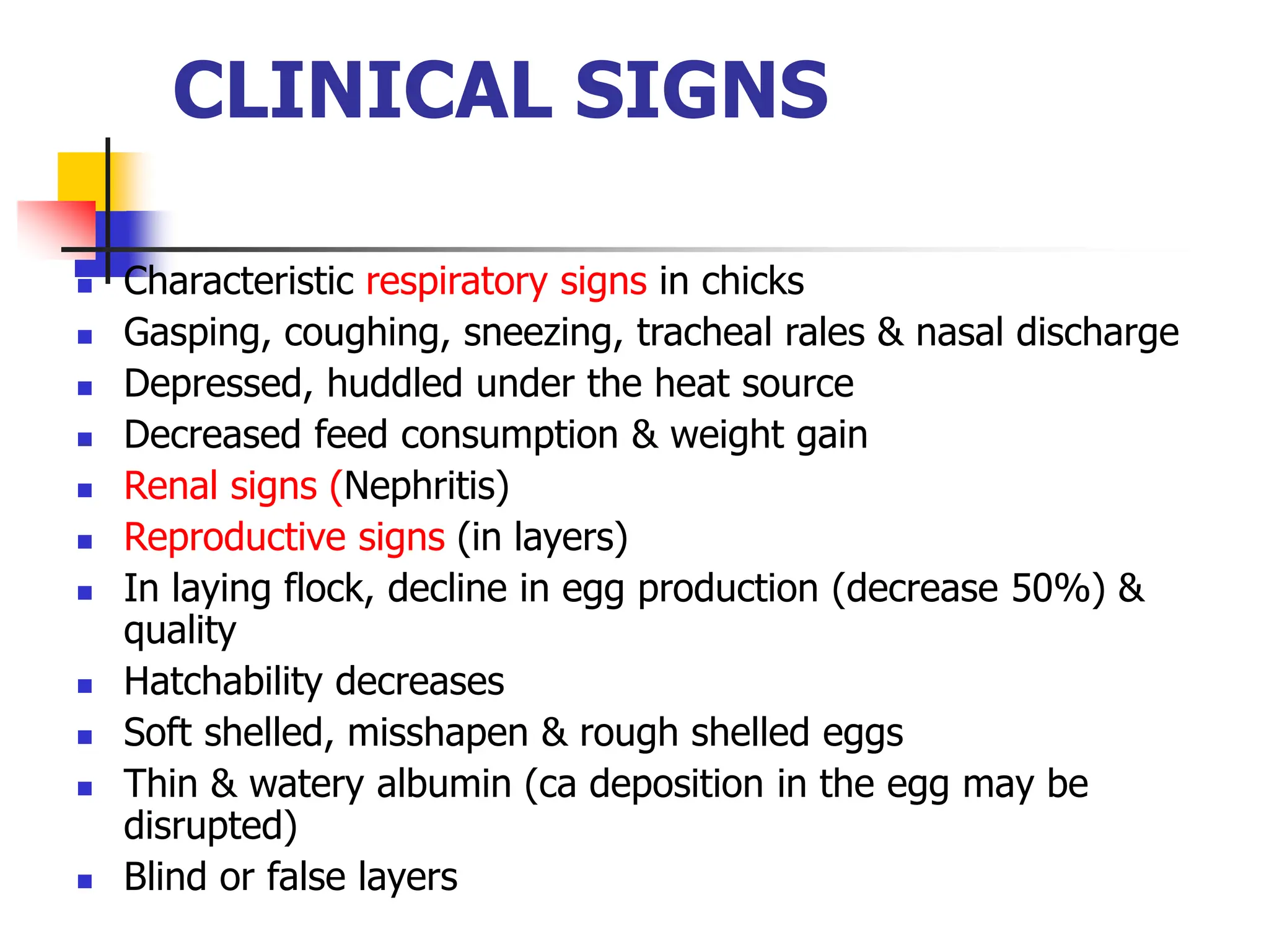 Infectious bronchitis (IB) is a highly contagious respiratory disease ...