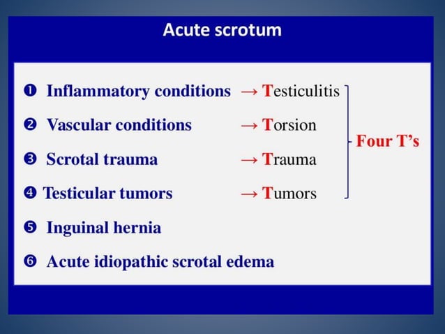 Imaging of Inguino scrotal region | PPTX