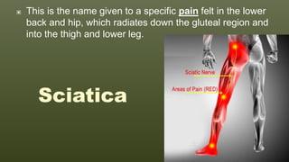 5 Injuries of the Lower Limb.pptx