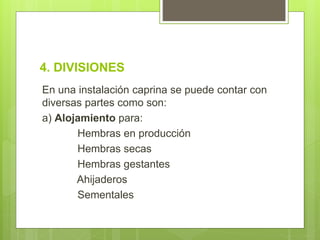 Instalaciones caprinas | PPTX