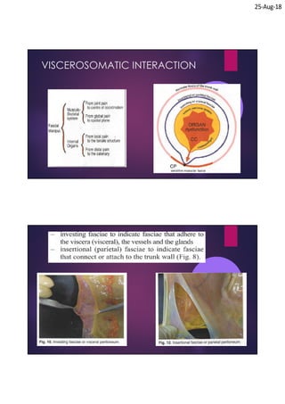 5 internal dysfunctions | PDF