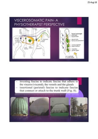 5 internal dysfunctions | PDF