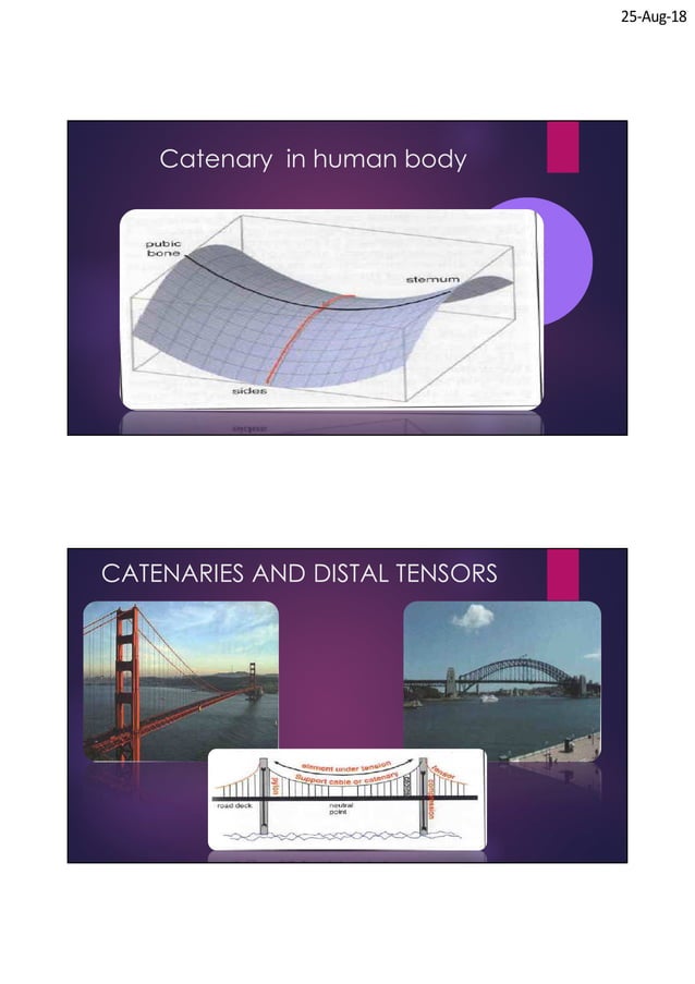 5 internal dysfunctions | PDF