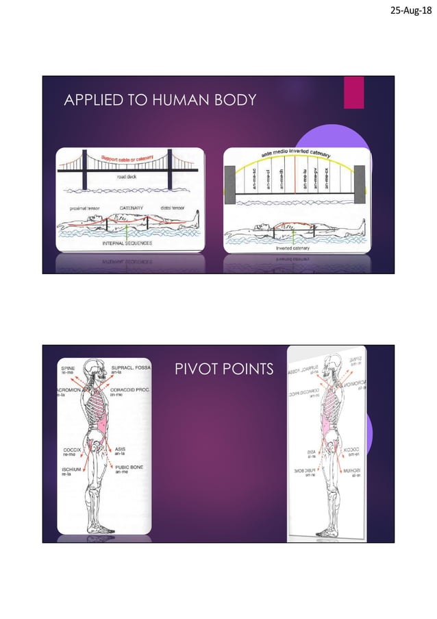 5 internal dysfunctions | PDF