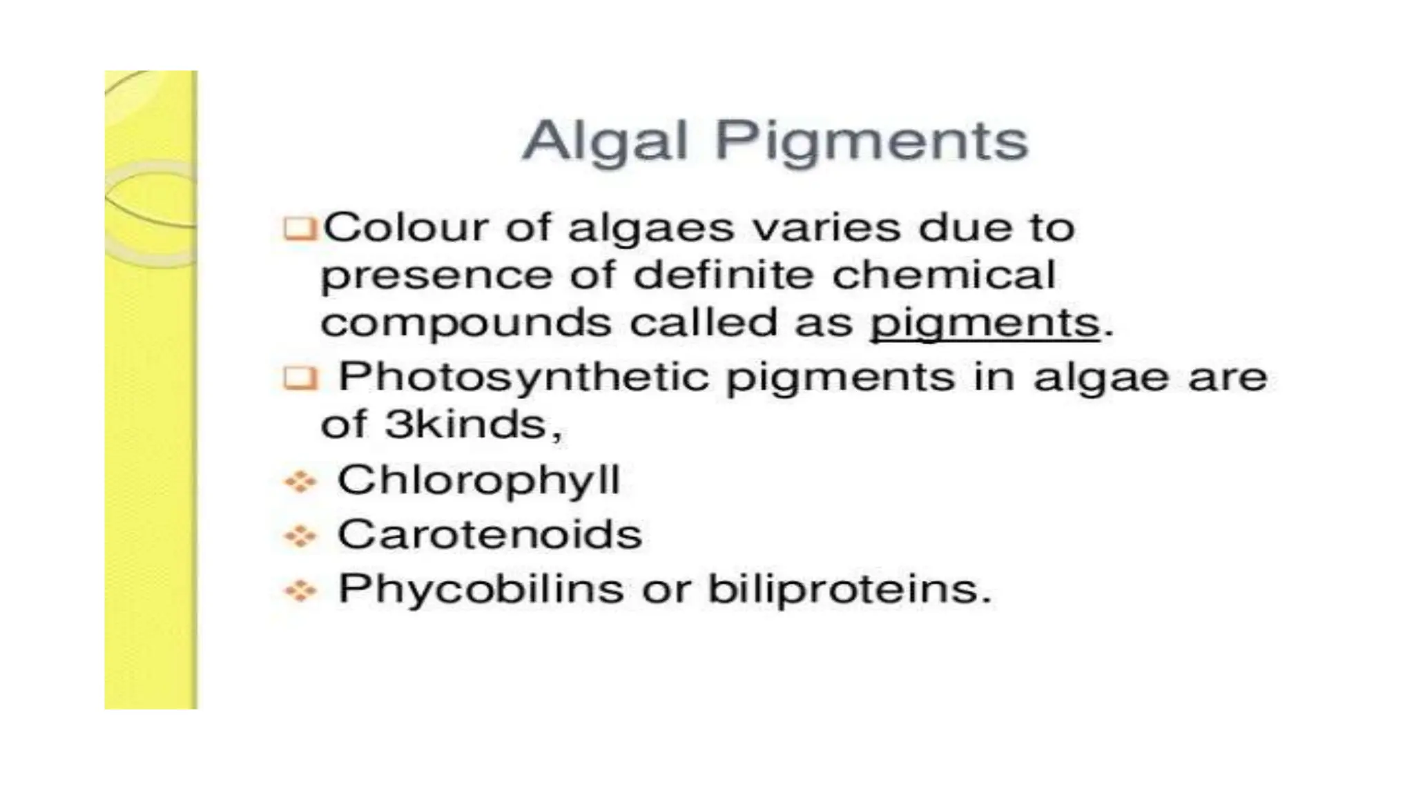 Introduction to Algae | PPTX