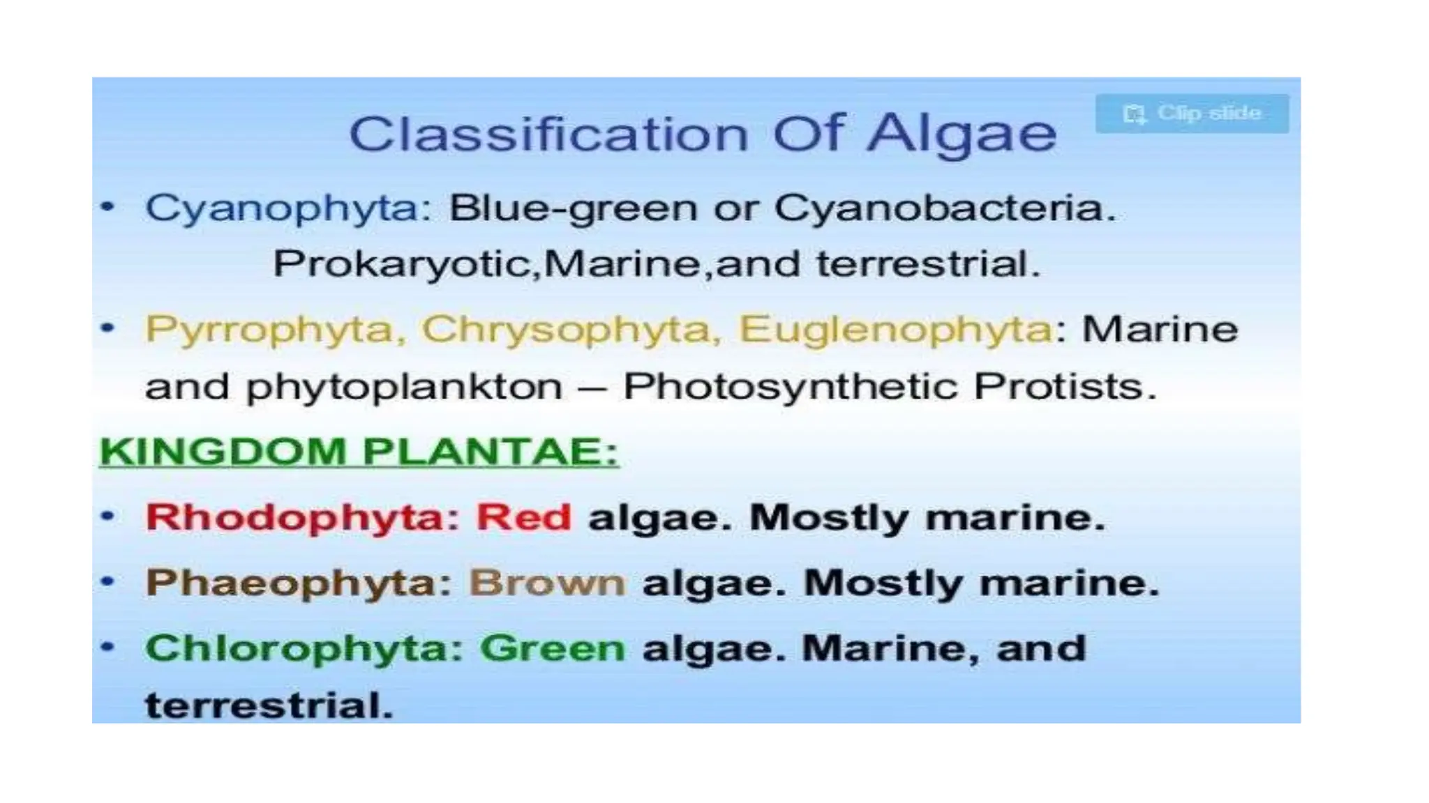 Introduction to Algae | PPTX