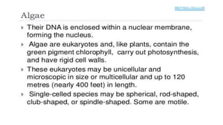 Introduction to Algae | PPT