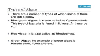 Introduction to Algae | PPT