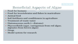 Introduction to Algae | PPTX