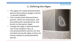 Introduction to Algae | PPTX